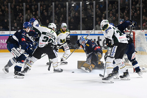 Gewinnt heute der EHCO zum 4. Mal in Serie? - News - EHCO