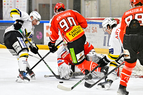 Ab in den Süden - News - EHCO