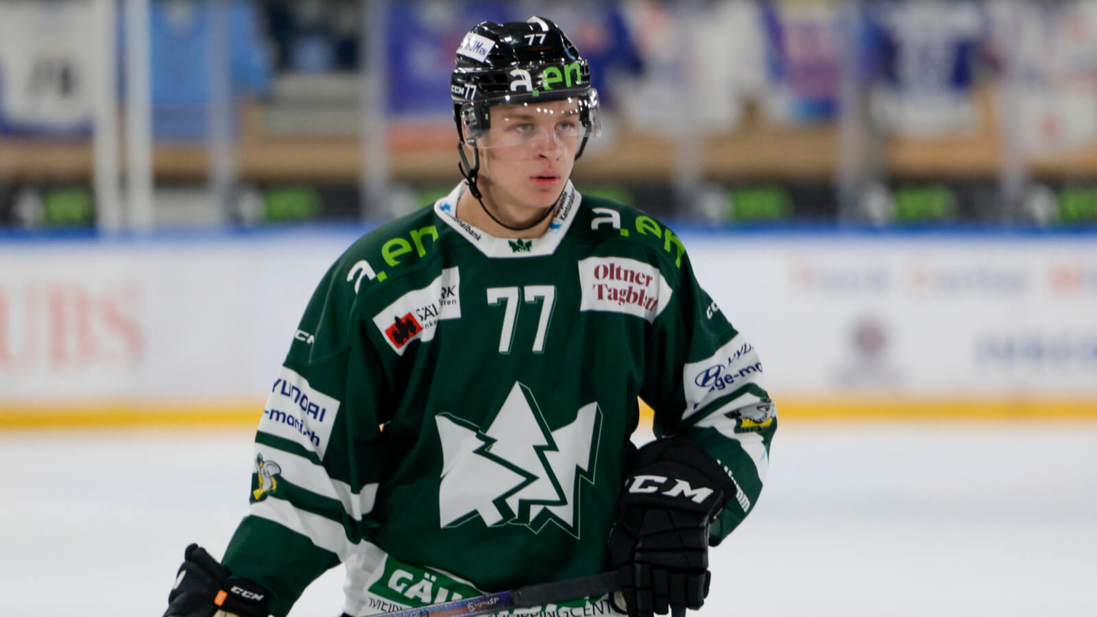 Der EHC Olten verpflichtet David Moser - News - EHCO